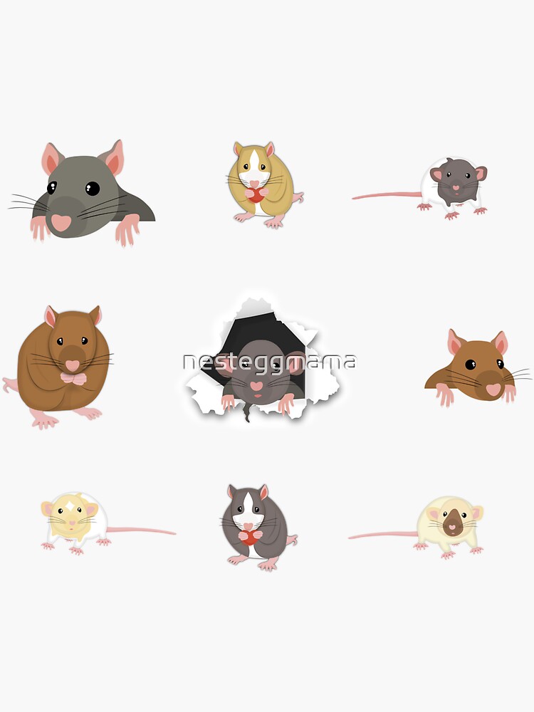"Cute Rat Stickers" Sticker by nesteggmama | Redbubble
