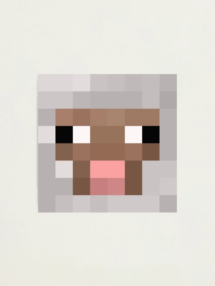 Sheep Head Minecraft