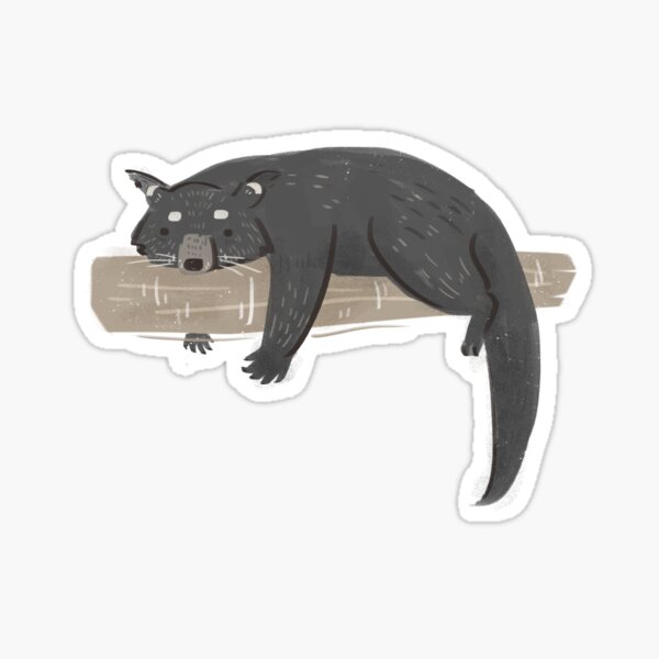Binturong Merch & Gifts for Sale | Redbubble