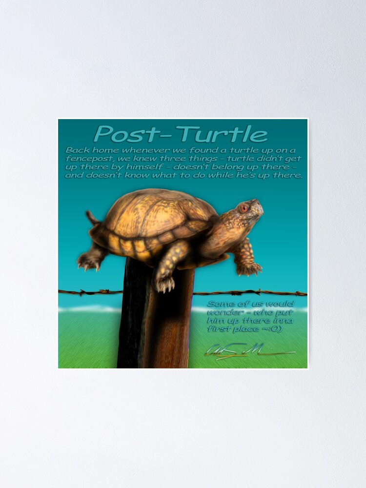 "Post Turtle" Poster by ChasSinklier | Redbubble