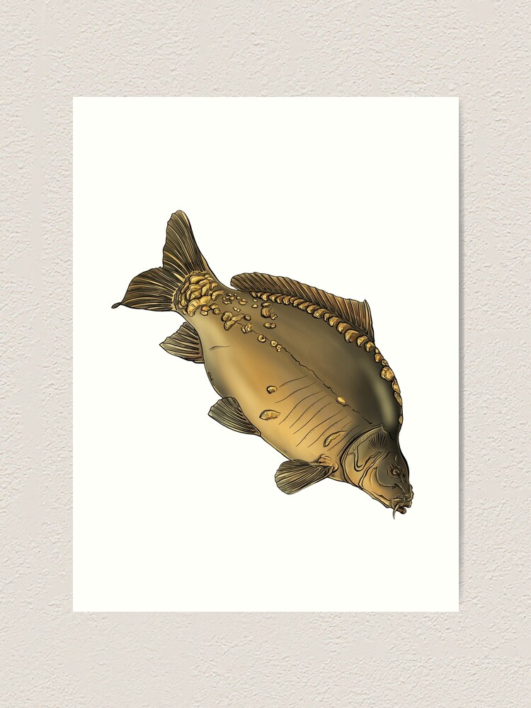 "Mirror carp 2" Art Print by slashgrafik | Redbubble