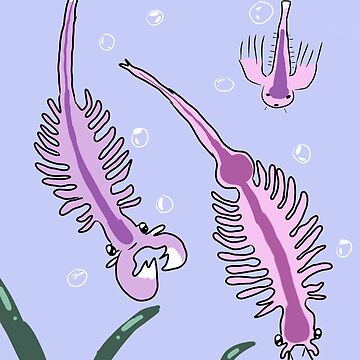 "seamonkeys/Brine shrimp xx" Sticker for Sale by MysticRacoon6 | Redbubble