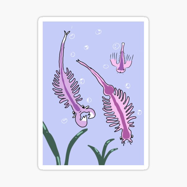 "seamonkeys/Brine shrimp xx" Sticker for Sale by MysticRacoon6 | Redbubble