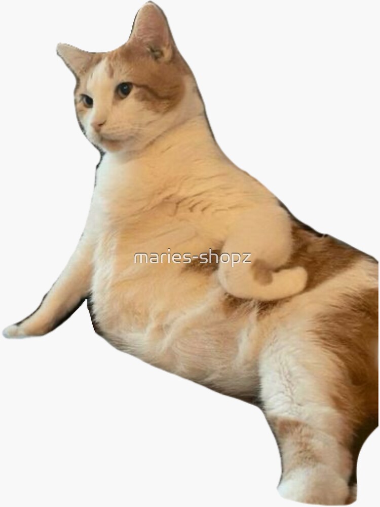 "sassy cat meme " Sticker for Sale by maries-shopz | Redbubble