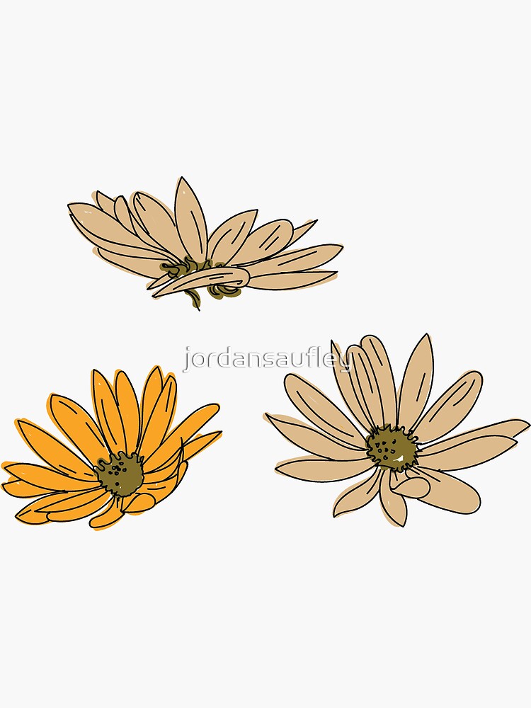 "yellow daisies " Sticker for Sale by jordansaufley | Redbubble