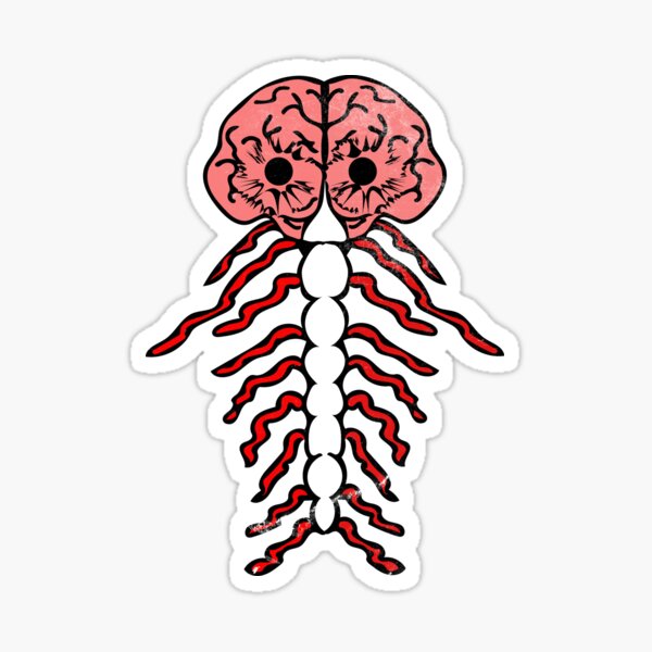 "Nervous System Brain and Spinal Cord" Sticker for Sale by wrestletoys ...