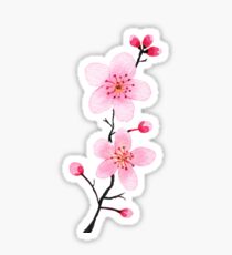 Cherry Blossom Stickers | Redbubble