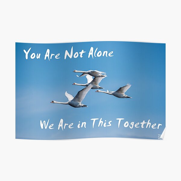 "You Are Not Alone - We Are In This Together" Poster for Sale by ...