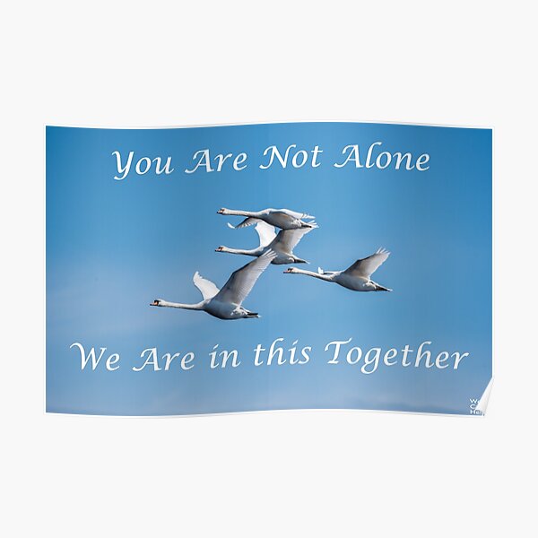"You Are Not Alone - We Are in this Together" Poster for Sale by ...