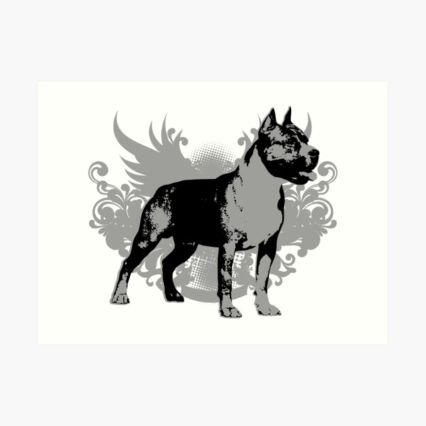 "American Staffordshire Terrier - Amstaff" Art Print for Sale by ...