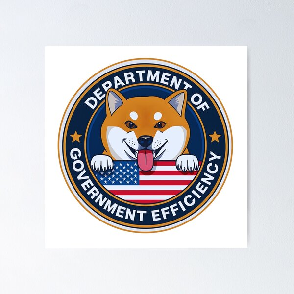 " DOGE, Department of Government Efficiency" Poster for Sale by ...
