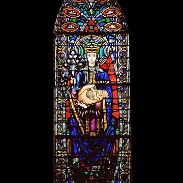 "The Virgin Mary and Cats on Stained Glass Window (full size edition ...