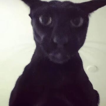 "Scary Larry" Sticker for Sale by Coolkati | Redbubble