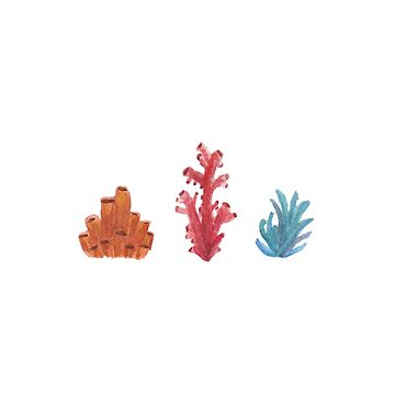"Coral" Sticker for Sale by quirkyandkind | Redbubble