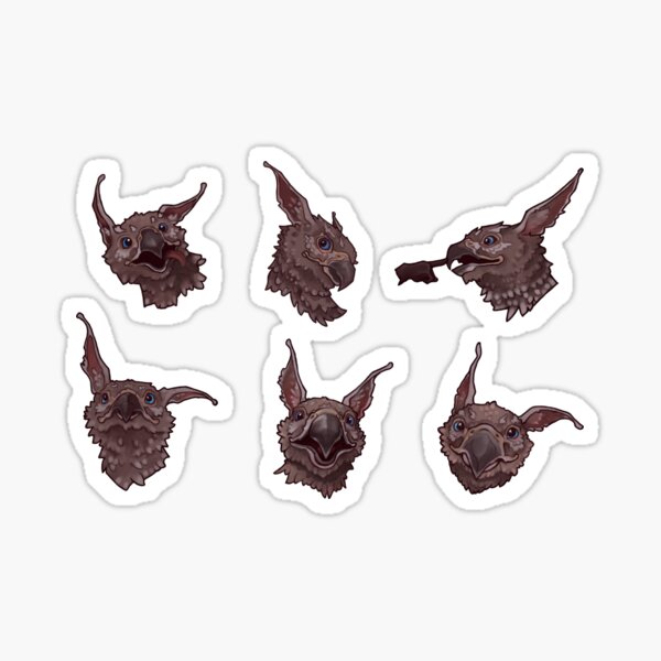 "Assan the cutest griffon baby" Sticker for Sale by keyvei | Redbubble