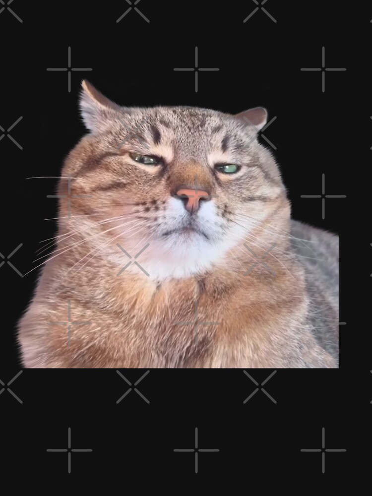 "Ukrainian Stepan cat Meme" Essential T-Shirt for Sale by DariaMiller ...