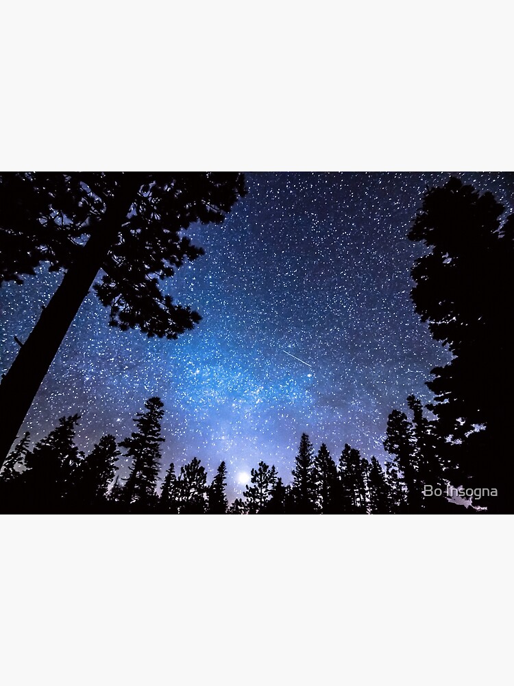 "Forest Star Gazing An Astronomy Delight" Poster for Sale by mrbo ...