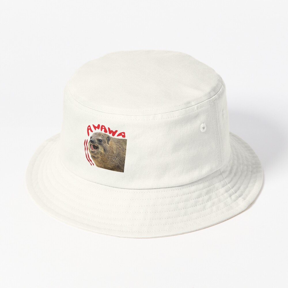 "hyrax screaming awawa! " Sticker for Sale by wawawover | Redbubble