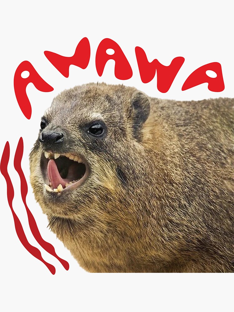 "hyrax screaming awawa! " Sticker for Sale by wawawover | Redbubble