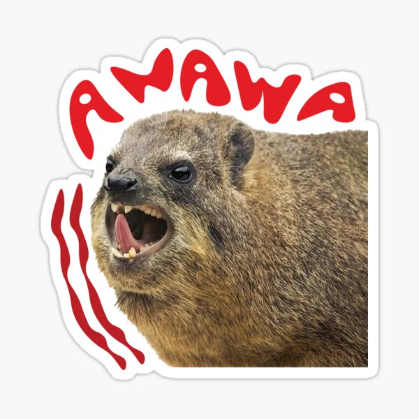 "hyrax screaming awawa! " Sticker for Sale by wawawover | Redbubble