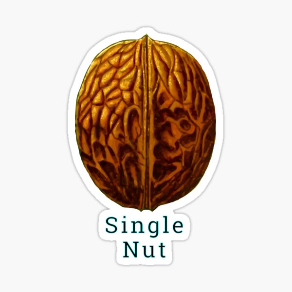 Nutsack Gifts & Merchandise for Sale | Redbubble