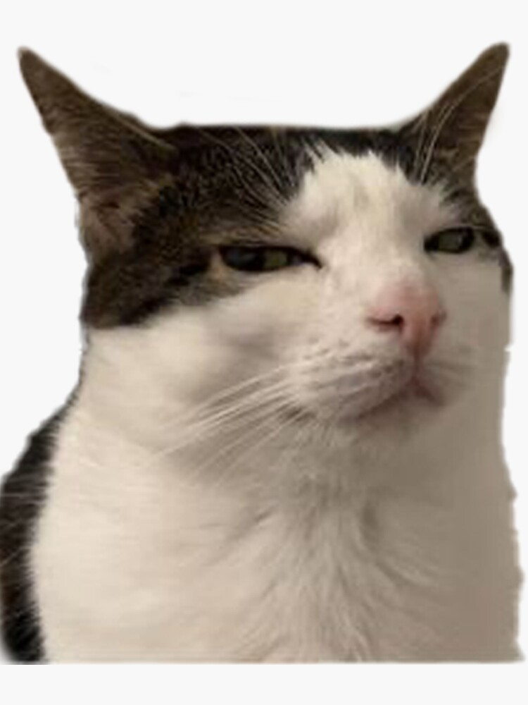 "ANGRY FUNNY DISAPPROVING CAT STICKER" Sticker for Sale by KIAFROMCLASS ...