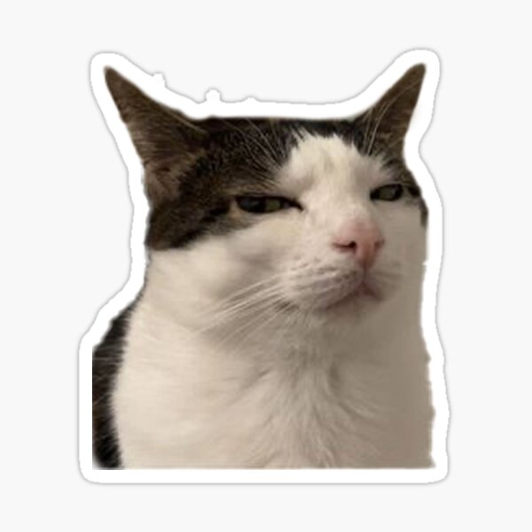 "ANGRY FUNNY DISAPPROVING CAT STICKER" Sticker for Sale by KIAFROMCLASS ...