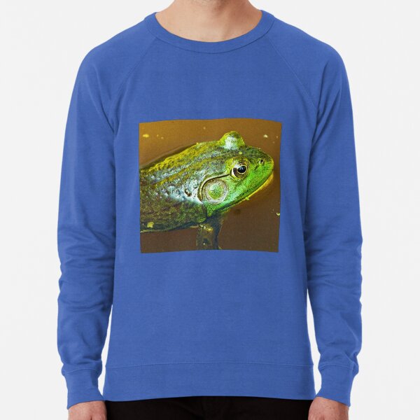 ""Pluck your magic twanger, Froggy!"" Lightweight Sweatshirt for Sale ...