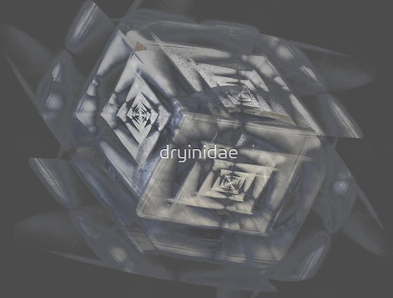 "4D Dice" by dryinidae | Redbubble