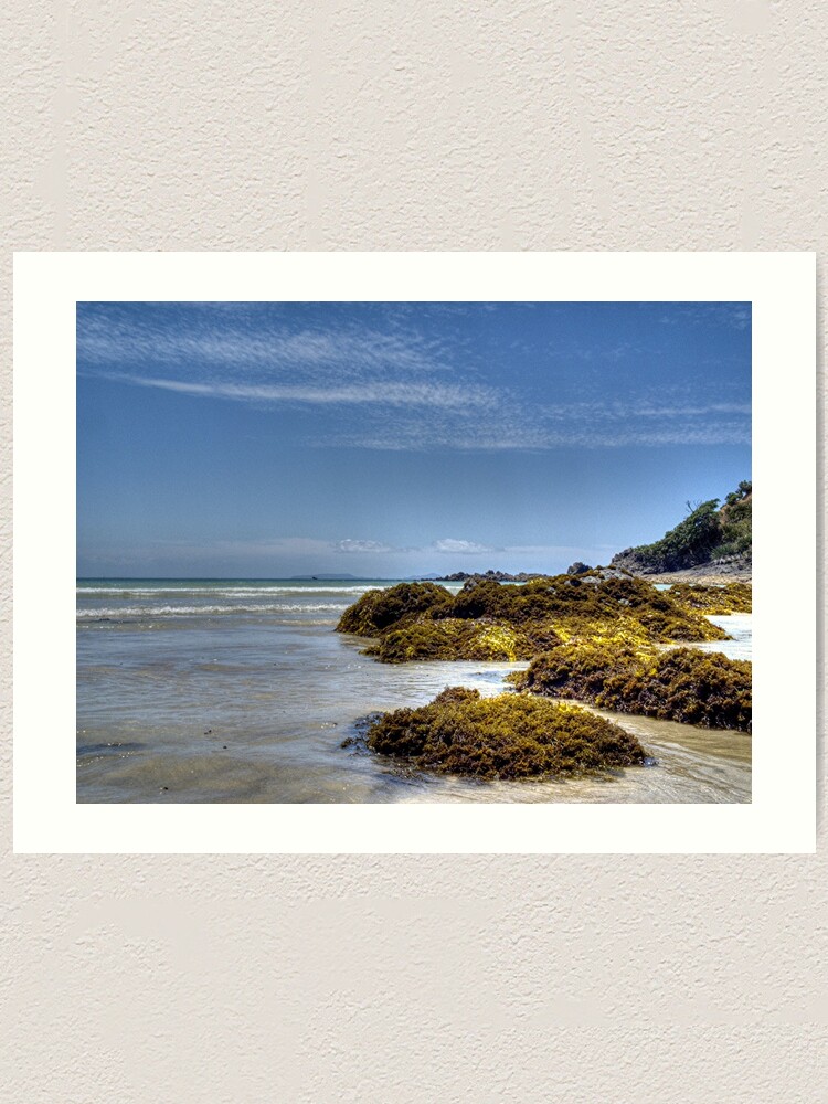 "Whananaki Beach, New Zealand." Art Print by Roynz | Redbubble