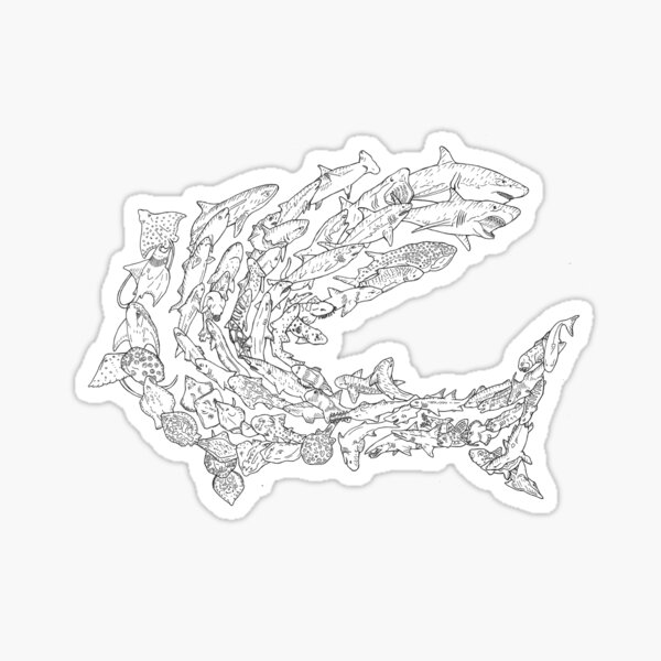 "Chondrichthyes - Black and White - Sharks and Rays - Evolution ...