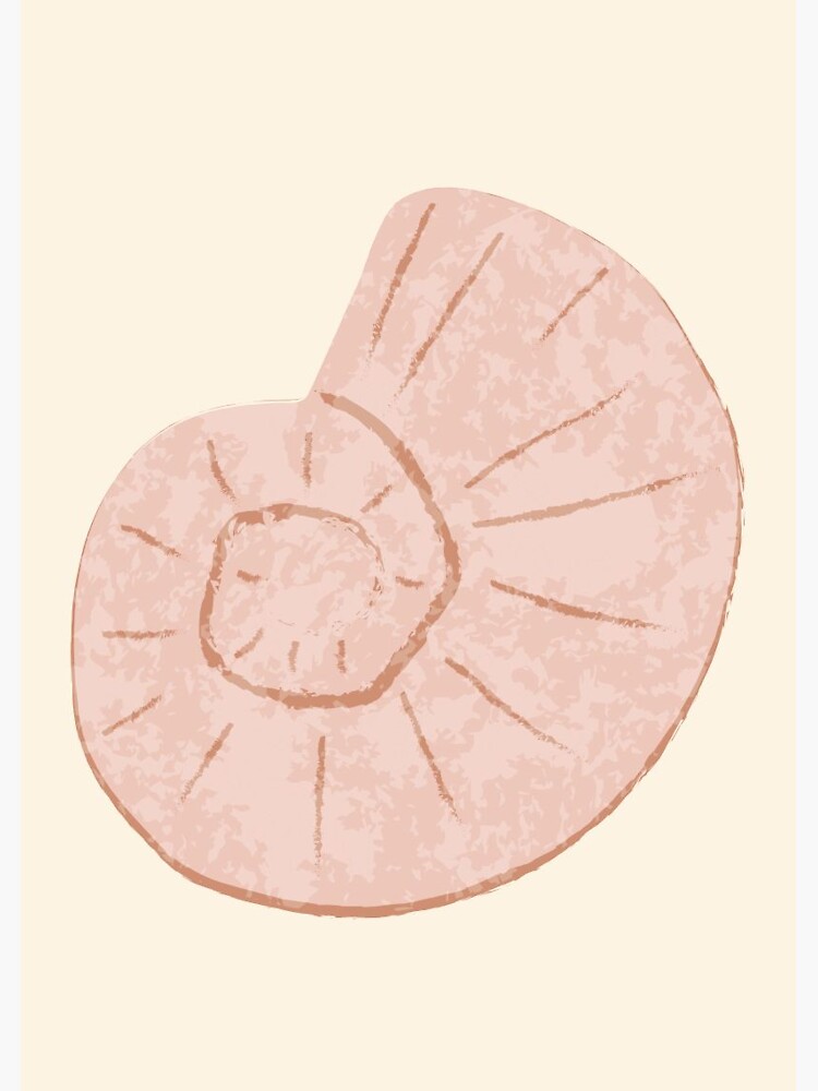 "Shell Watercolour Pink Spiral Ocean Sticker Print" Sticker for Sale by ...