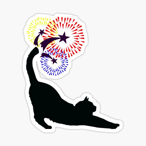 "Firework Cat" Sticker for Sale by sydneytomchak | Redbubble