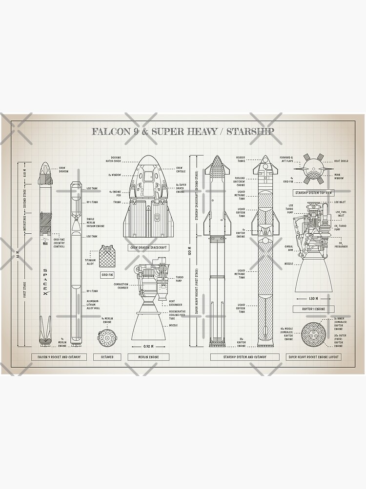 "SPACEX: Falcon 9 & Super Heavy / Starship (Light Ivory)" Poster for ...
