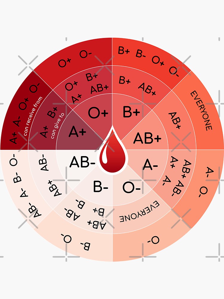 "Blood chart wheel" Sticker for Sale by ScienceCorner | Redbubble