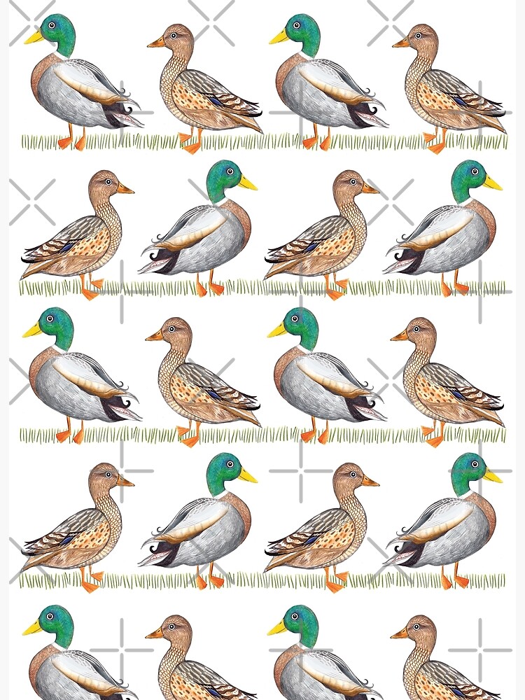 "STOKE ON TRENT: AY UP DUCK" Art Print for Sale by shelleyjayne | Redbubble