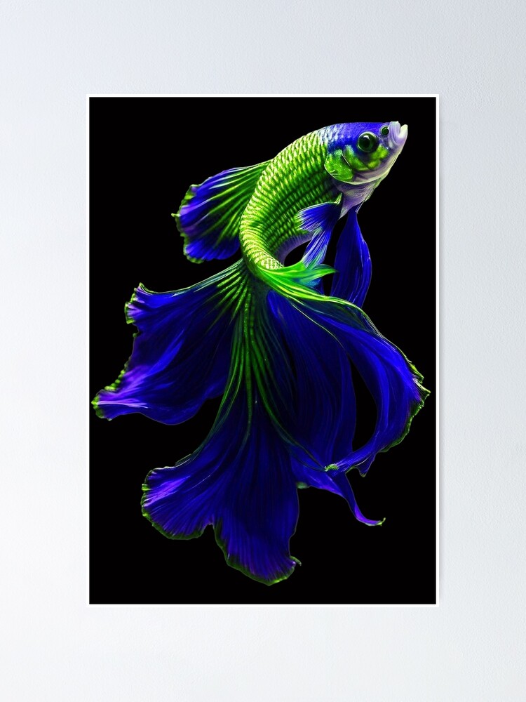 "Beautiful Guppy fish Fancy Guppies Thai fighting fish, beautiful fish ...