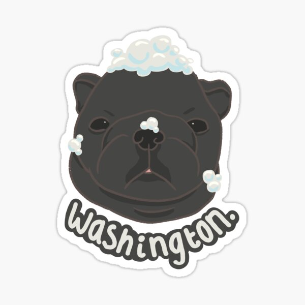 "Washington pibble dog puppy meme" Sticker for Sale by PestoPastagifts ...
