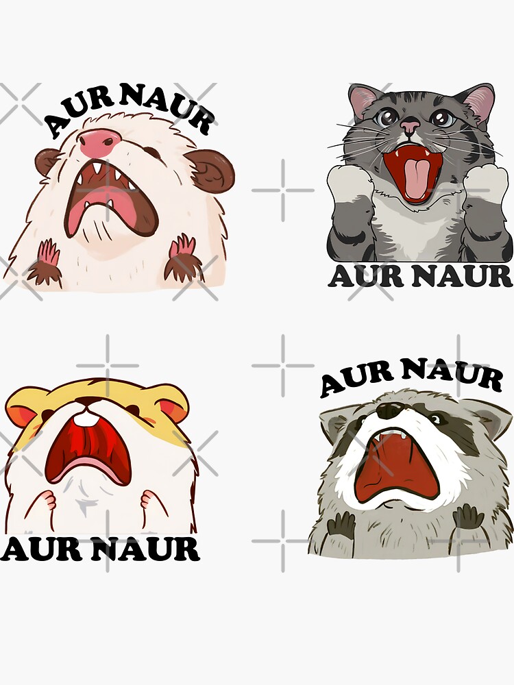 "Aur Naur Cute Funny Possum Hamster Cute Raccoon Sheet Pack " Sticker ...