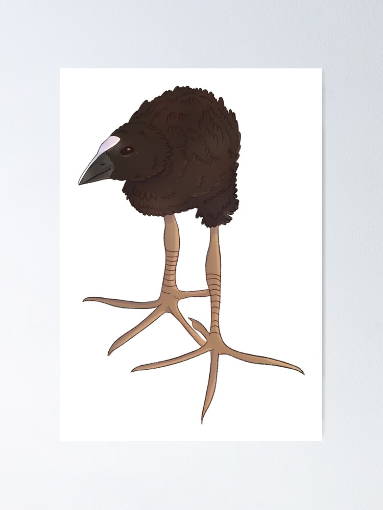 "Baby Pukeko Meme" Poster by Asutip | Redbubble