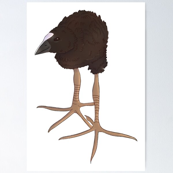 "Baby Pukeko Meme" Poster by Asutip | Redbubble