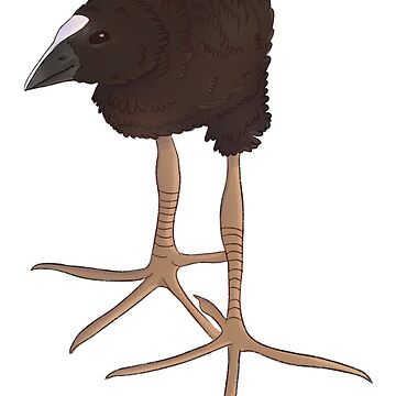 "Baby Pukeko Meme" Sticker by Asutip | Redbubble