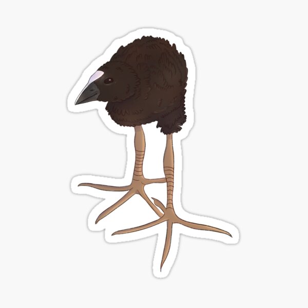 "Baby Pukeko Meme" Sticker by Asutip | Redbubble