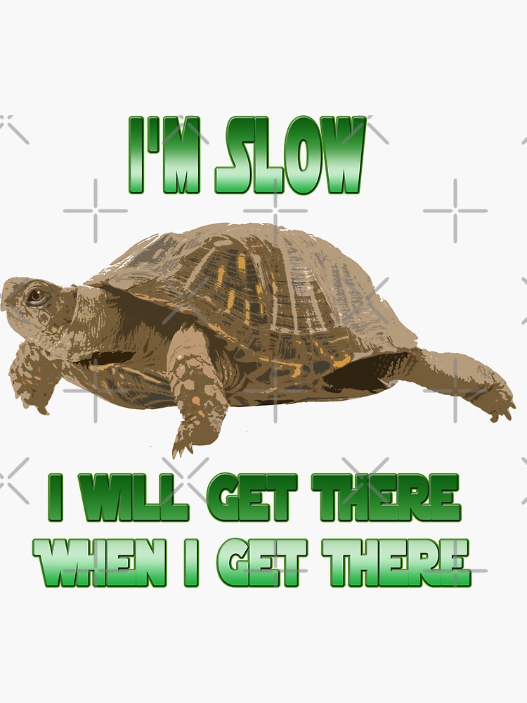 "Caution Turtles Crossing" Sticker for Sale by Foxlindesigns | Redbubble