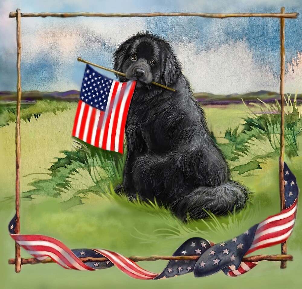 "Newfie and American Flag" by Patricia Reeder Eubank | Redbubble