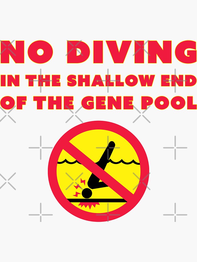 "NO DIVING in the shallow end of the gene pool" Sticker for Sale by ...