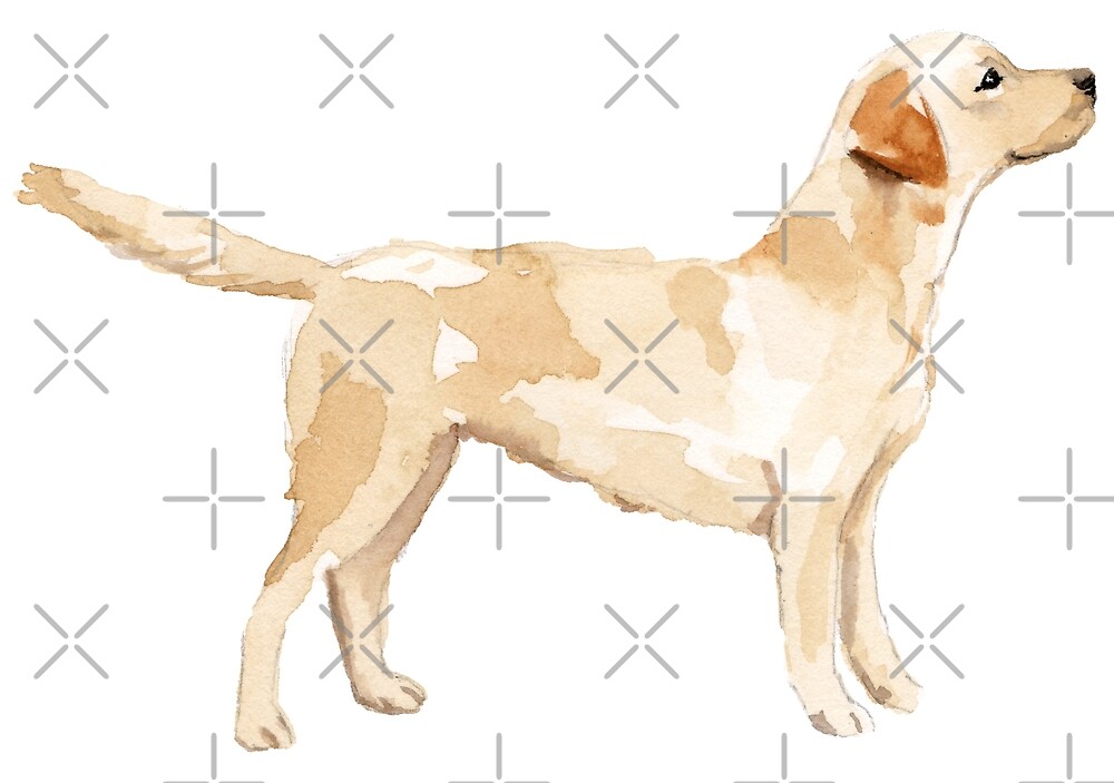 "Yellow Lab Silhouette Watercolor" by emrdesigns | Redbubble