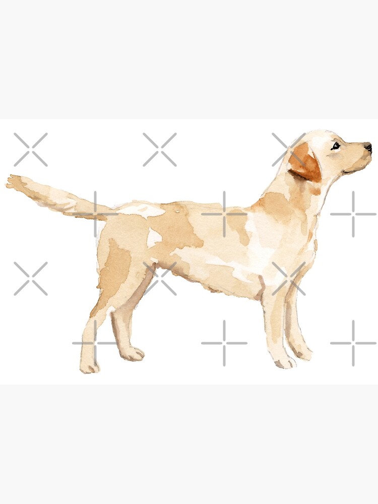 "Yellow Lab Silhouette Watercolor" Canvas Print by emrdesigns | Redbubble