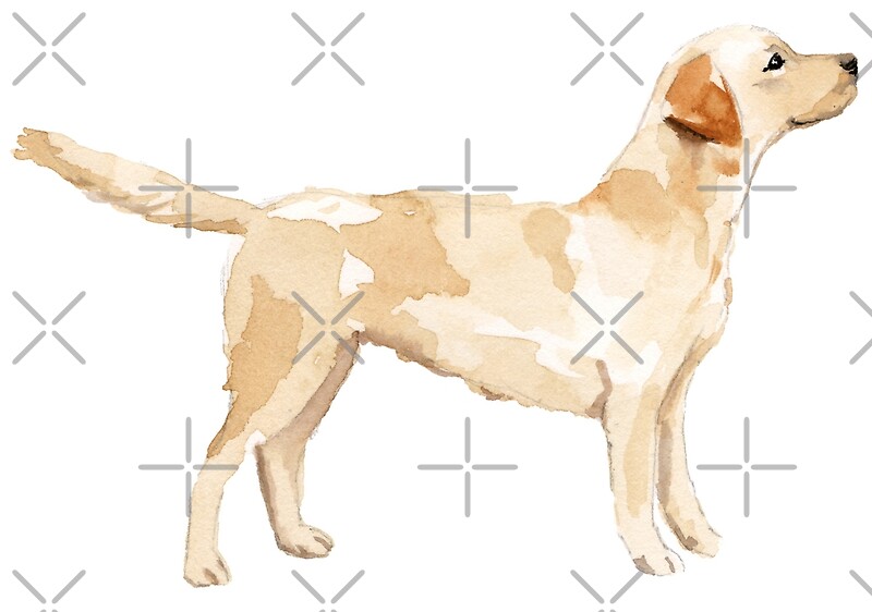 "Yellow Lab Silhouette Watercolor" by emrdesigns | Redbubble