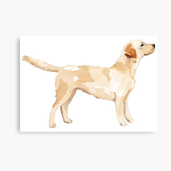 "Yellow Lab Silhouette Watercolor" Canvas Print for Sale by emrdesigns ...